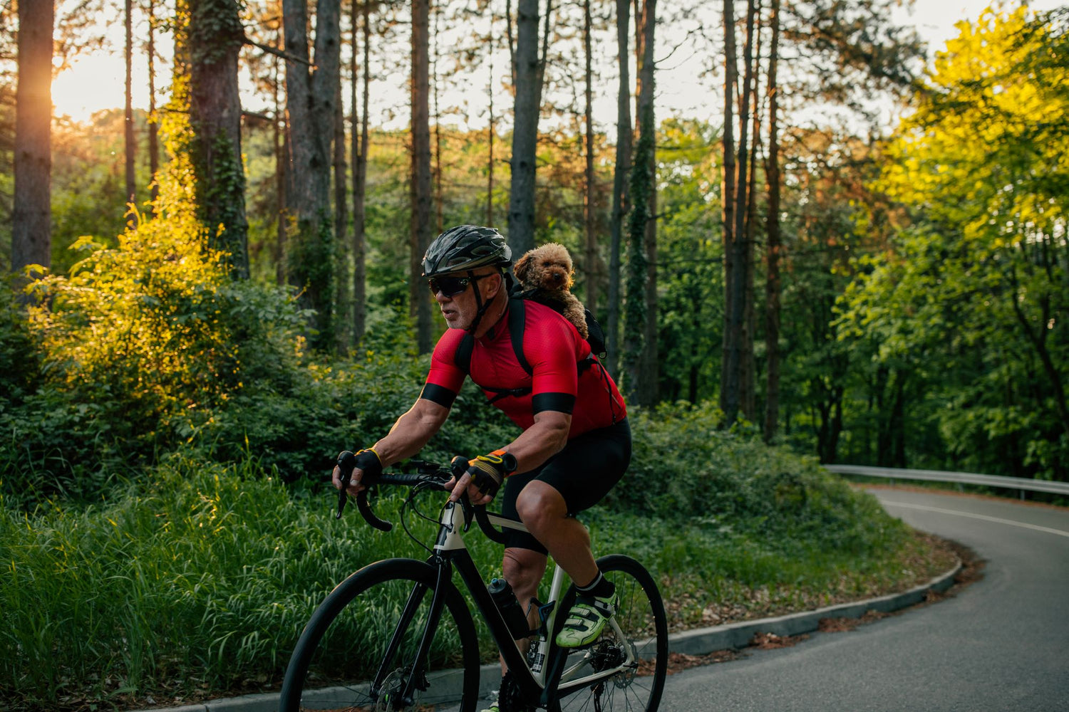 Cycling Forza